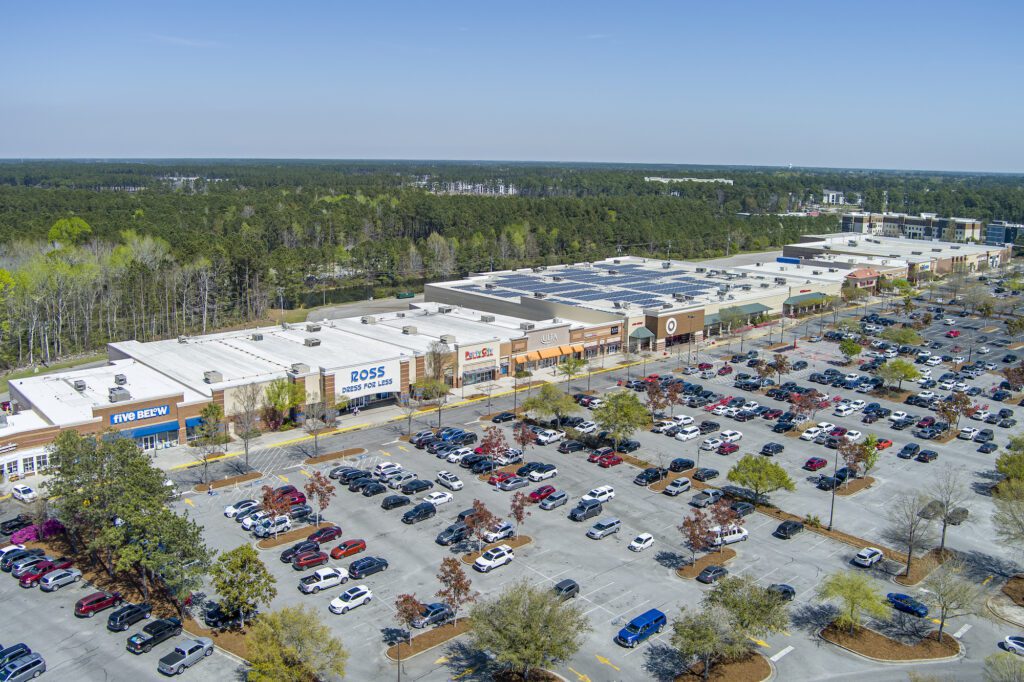 Azalea Square | Pine Tree