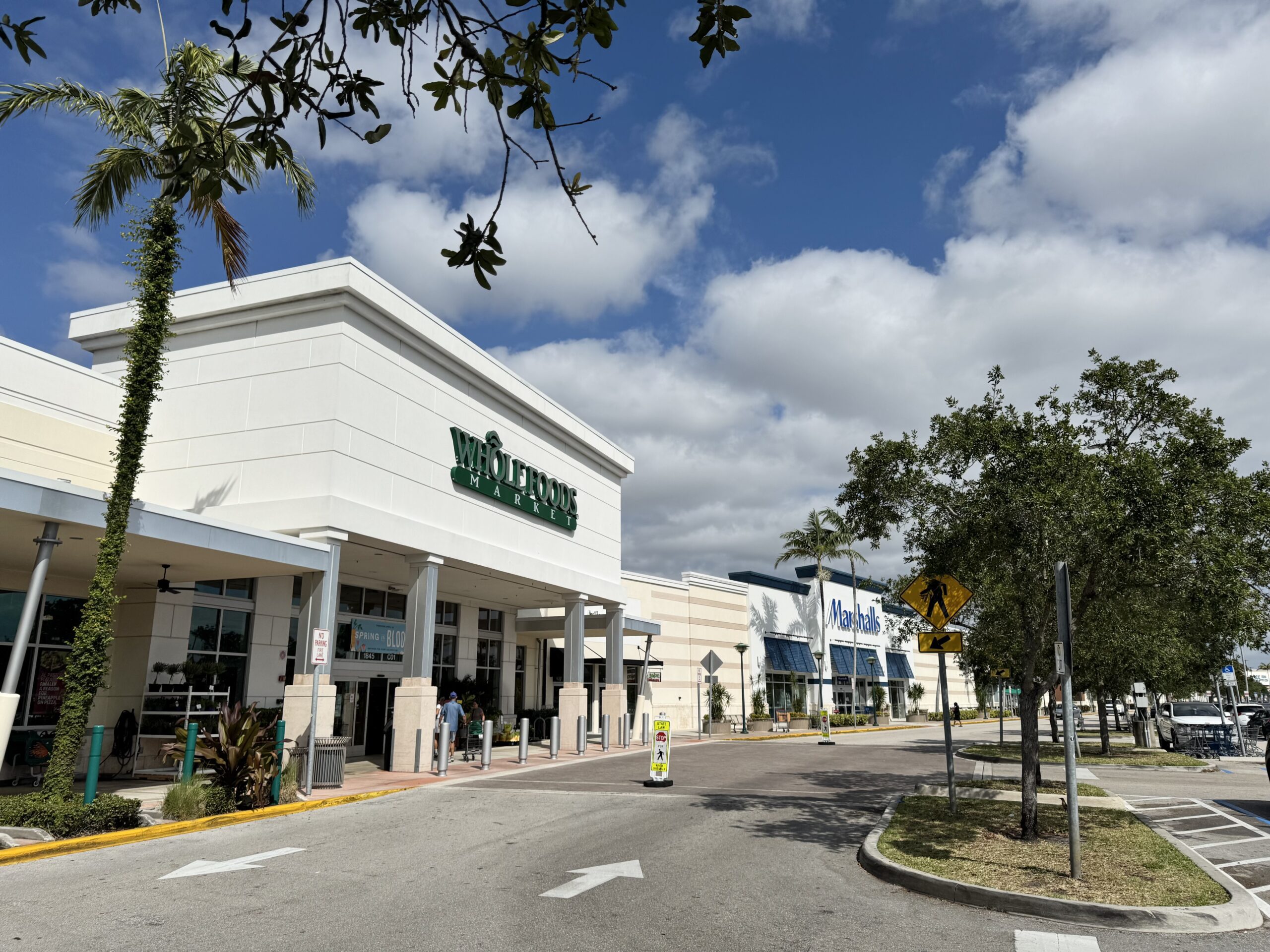 Palm Beach Promenade | Pine Tree